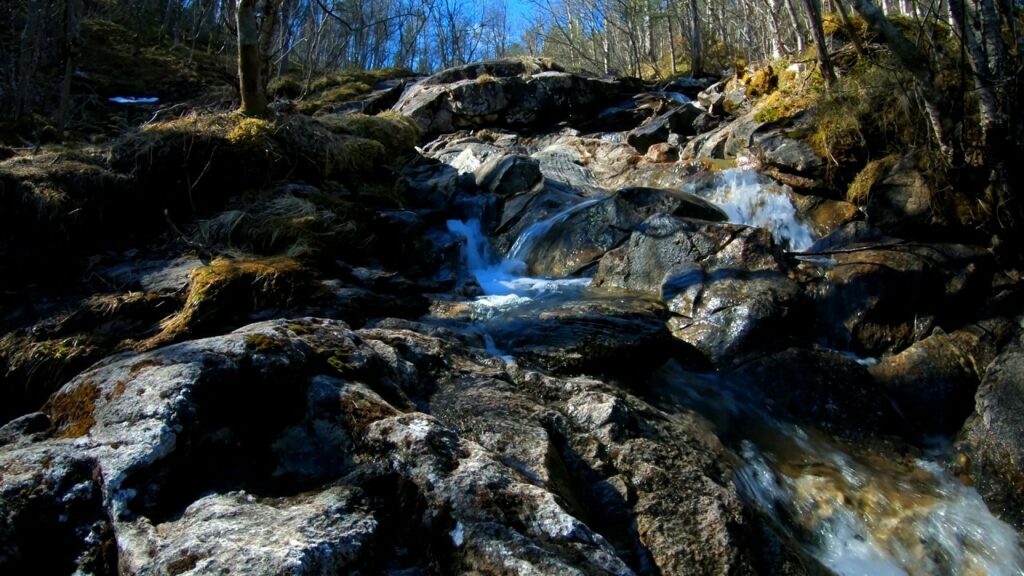 Calm stream in the mountains - Nature Sounds TV