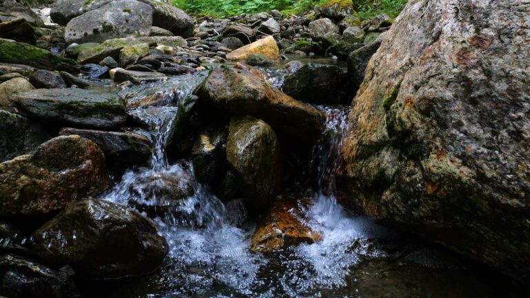 Calm stream in the mountains - Nature Sounds TV