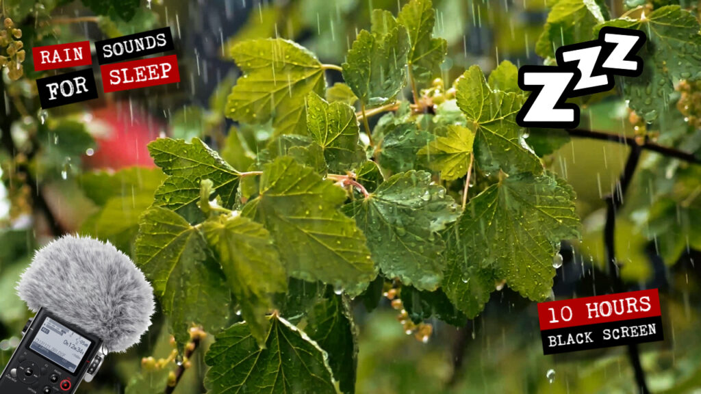Relaxing rain and stream sounds - Nature Sounds TV