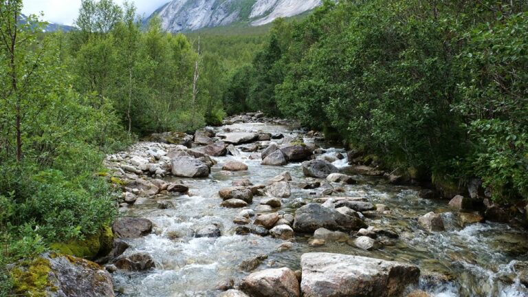 Free nature sounds for sleep and relaxation