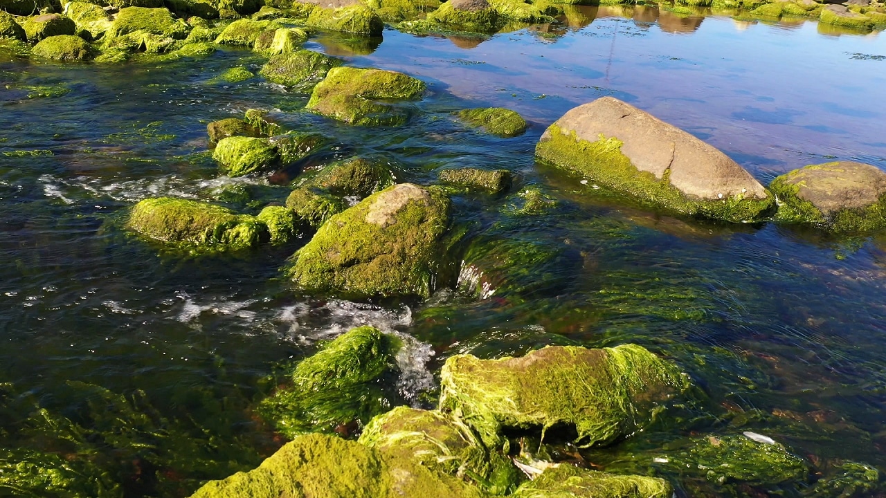 Free nature sounds for sleep and relaxation