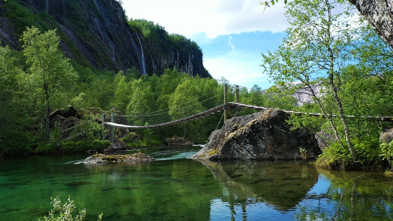 Relaxing river and bird sounds - Nature Sounds TV