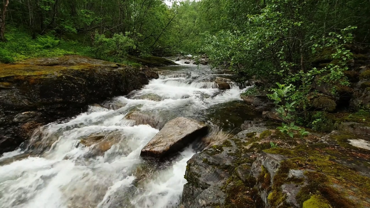 The sound of water flowing - Nature Sounds TV