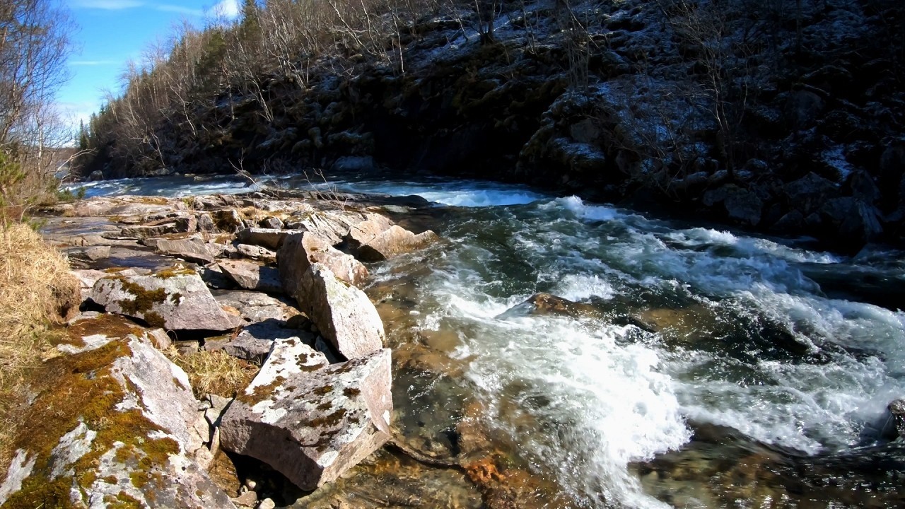 Relaxing sounds of a loud river in the autumn forest