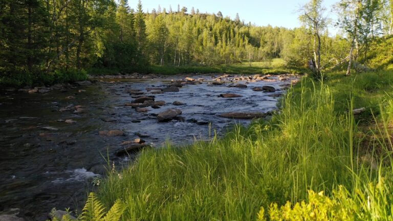 Free nature sounds for sleep and relaxation