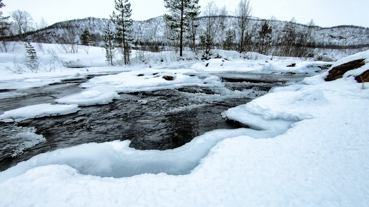 Calming sound of a river in the winter forest